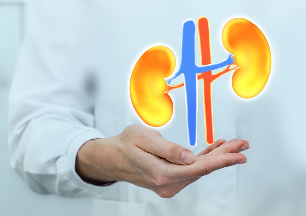 Cystoskopia – diagnostyka i leczenie pęcherza moczowego - MenVita